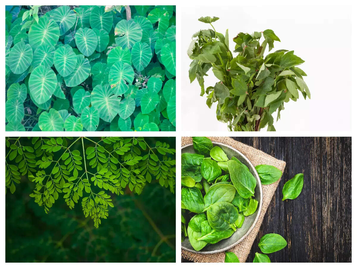 Types Of Indian Saag And Health Benefits: 9 saag varieties from across ...