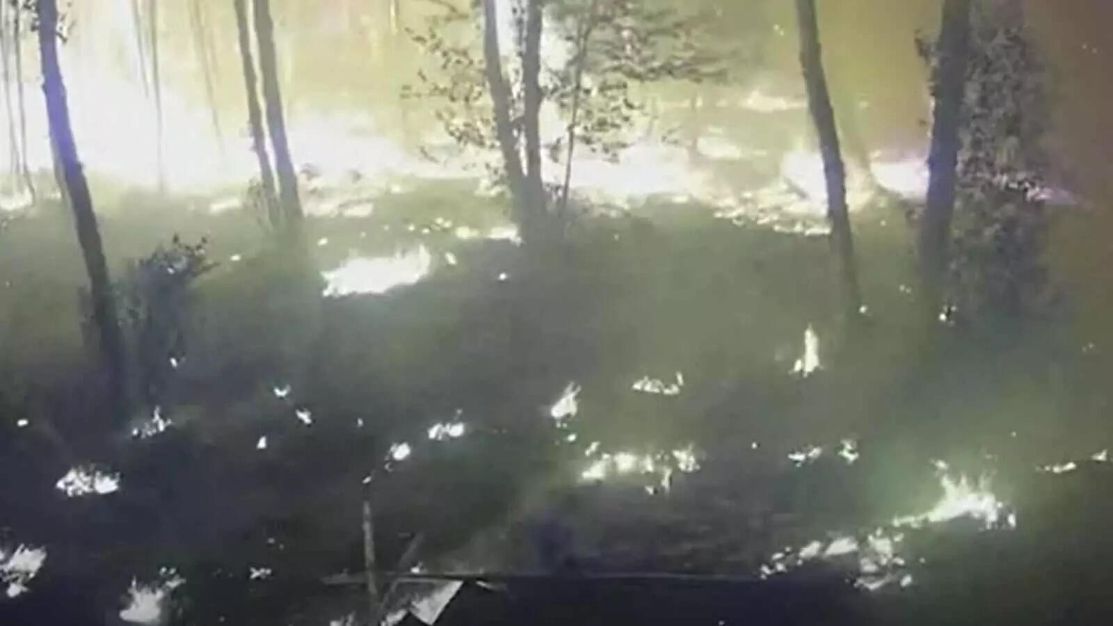 US: Video captures flames from raging Minnesota blaze