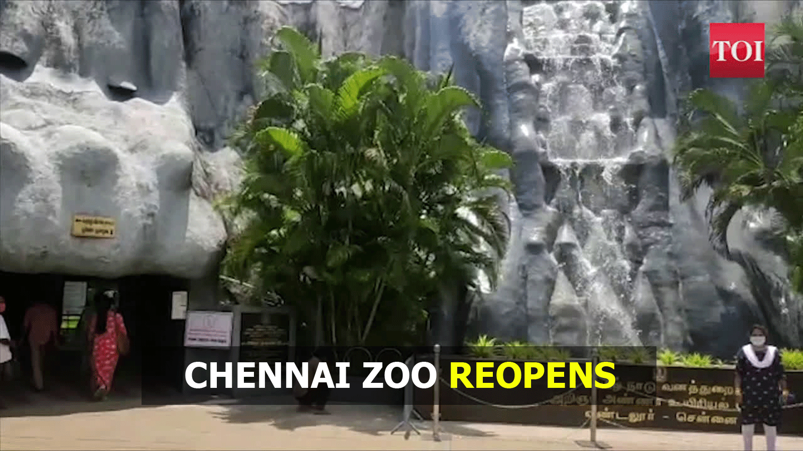 Chennai: Over 1,000 people turn up as Vandalur Zoo reopens for public