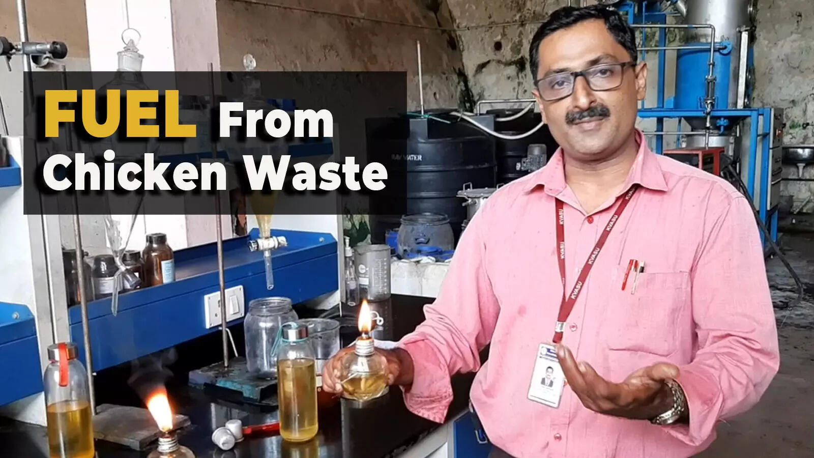 Fuel of the future: How waste from poultry farms could power our cars