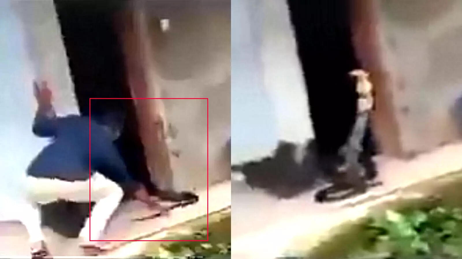 Watch: Snake catcher shocked to see a King Cobra