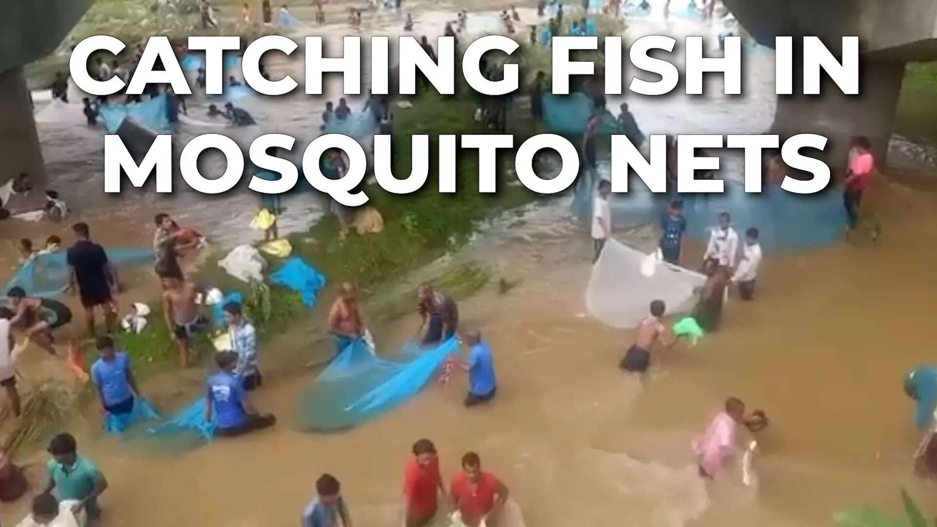 Watch: Locals use mosquito nets to catch fish from river