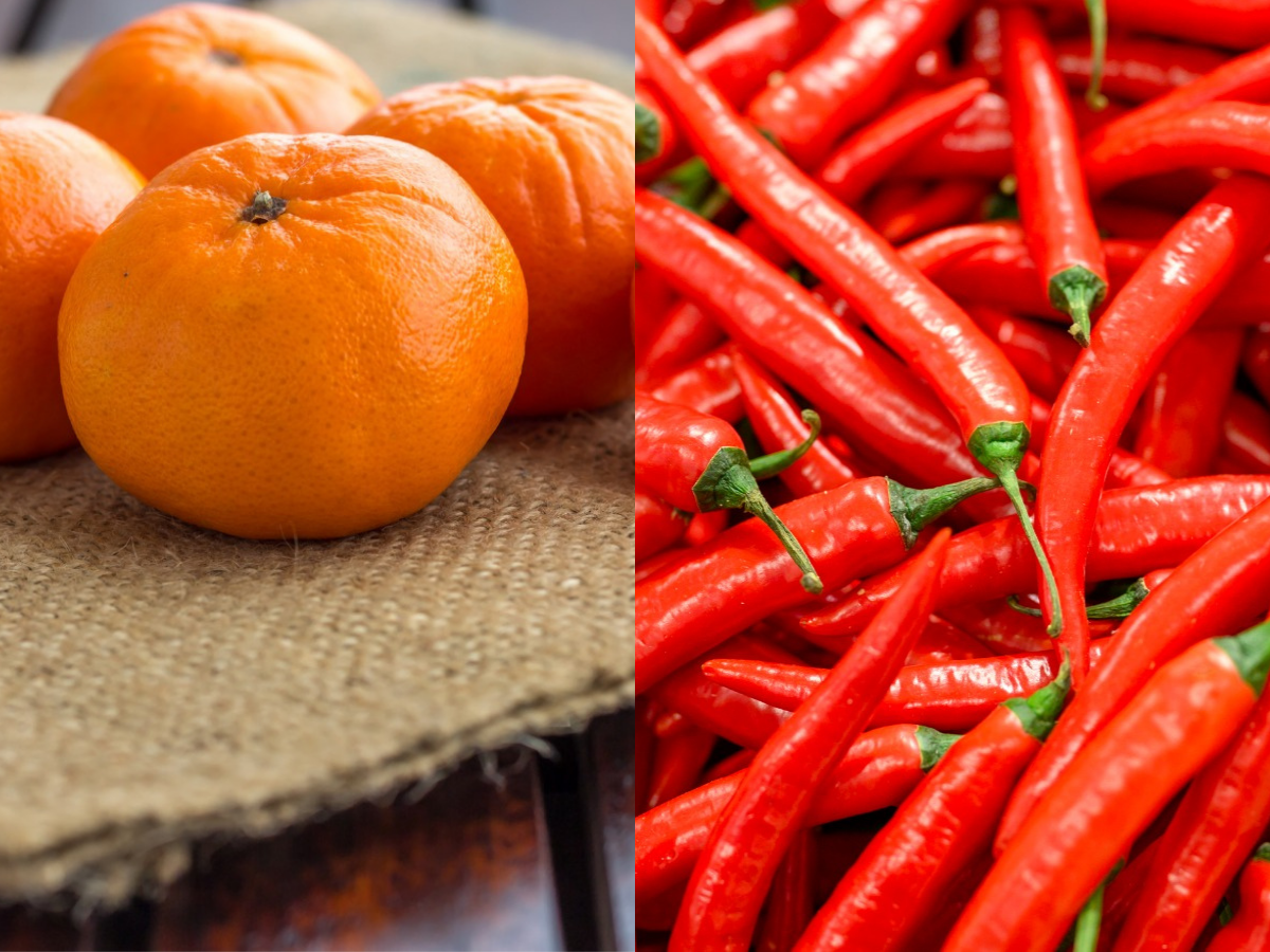 Manipur’s Hathei Chilli and Tamenglong Orange get GI Tag