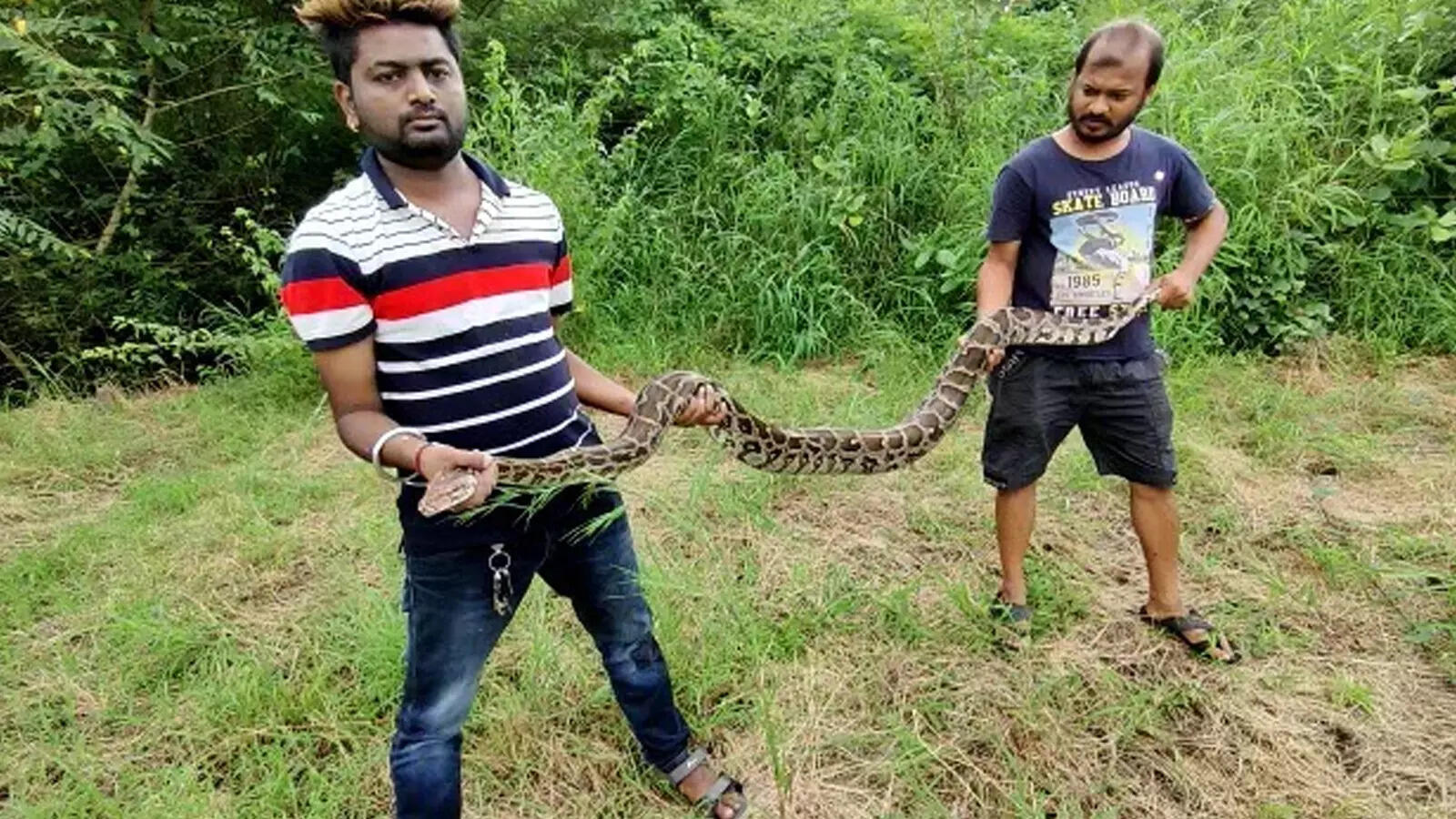 Thane: 9 foot long python rescued from bungalow