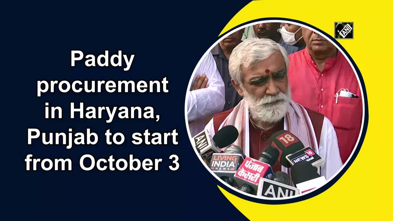 Paddy procurement: Paddy procurement in Haryana, Punjab to start from ...
