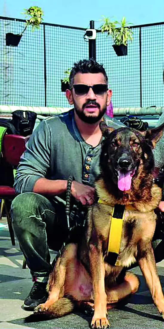 Celebrities come up with pawsome Puja gift ideas for their fur buddies ...