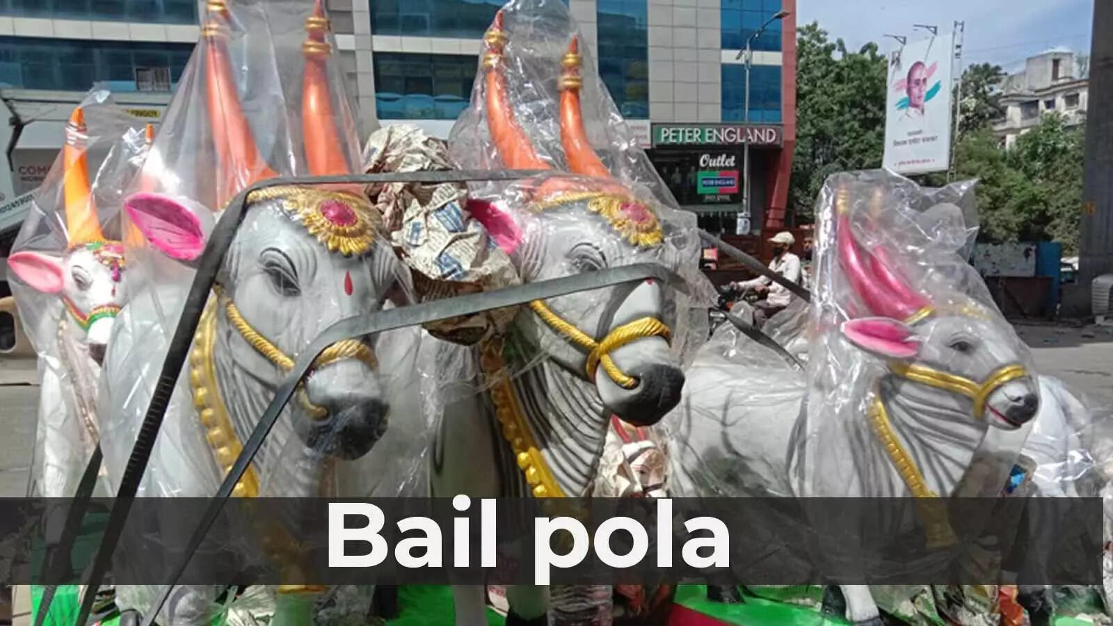 Pune: Farmers select clay replica of Ox for Bail Pola celebrations