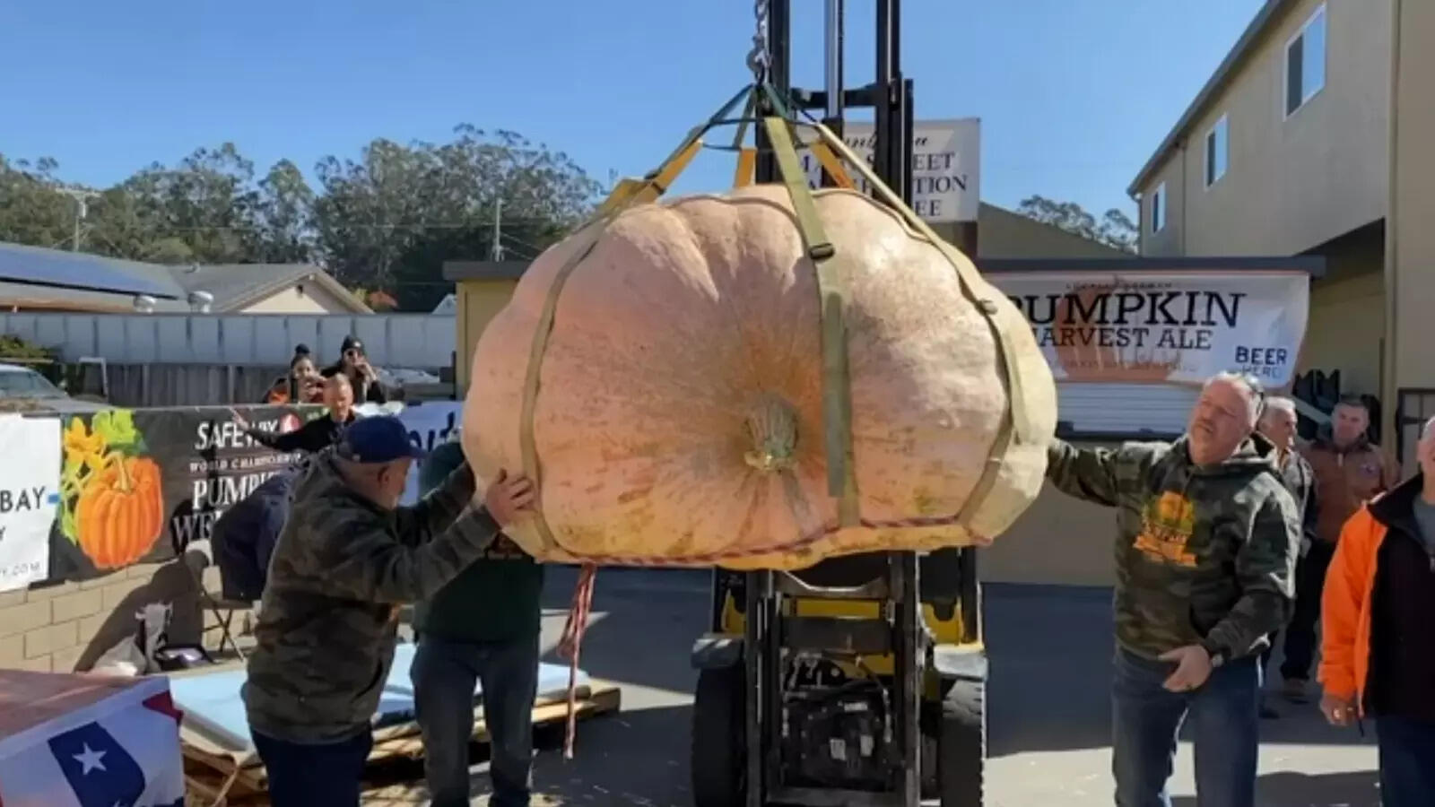 Washington grower wins pumpkin contest