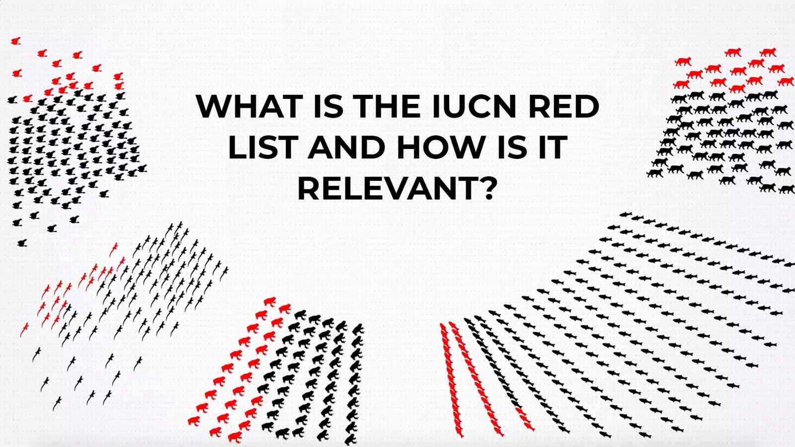 What is the IUCN Red List and how is it relevant?