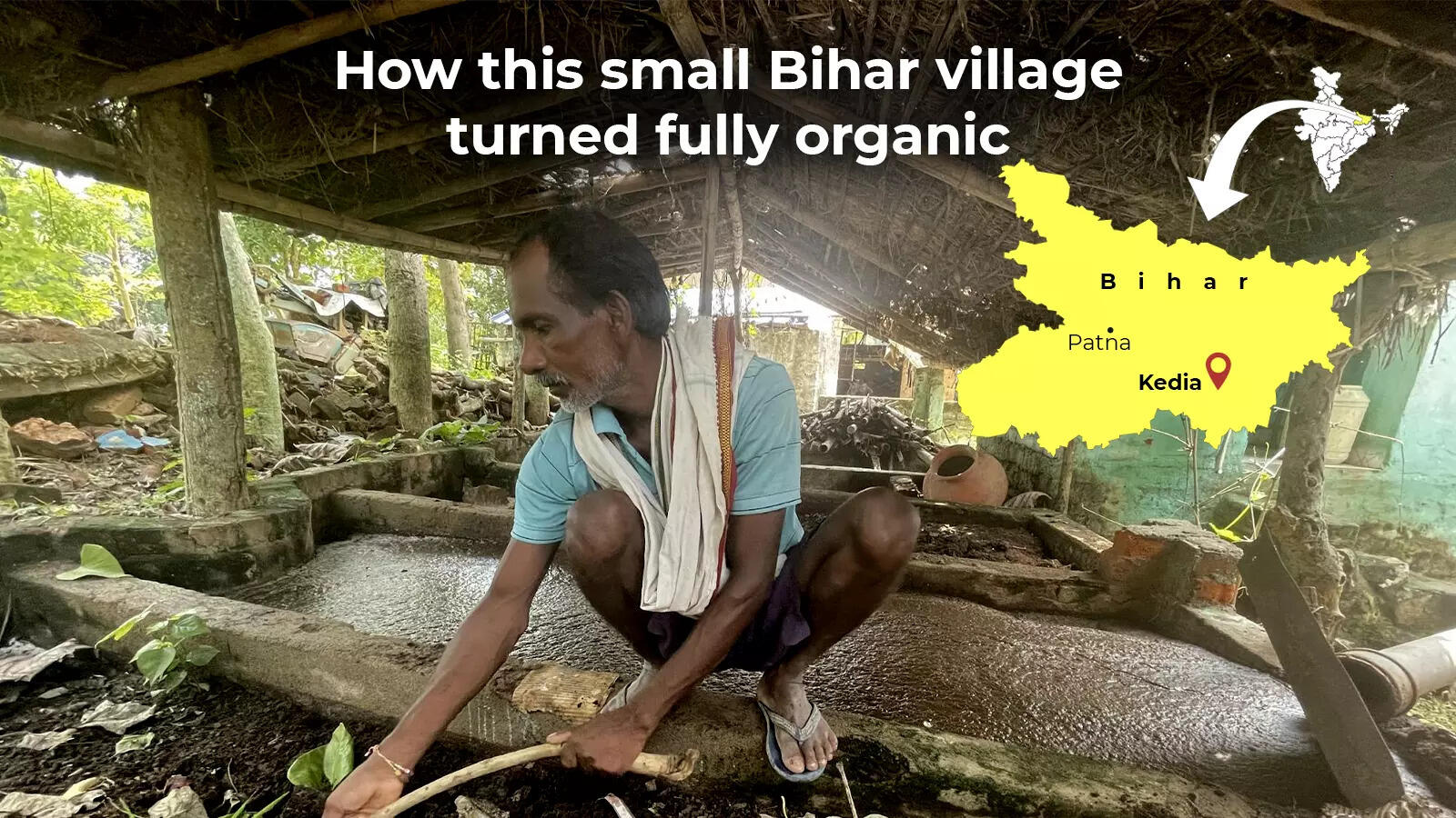 How this small Bihar village turned fully organic | India News - Times ...