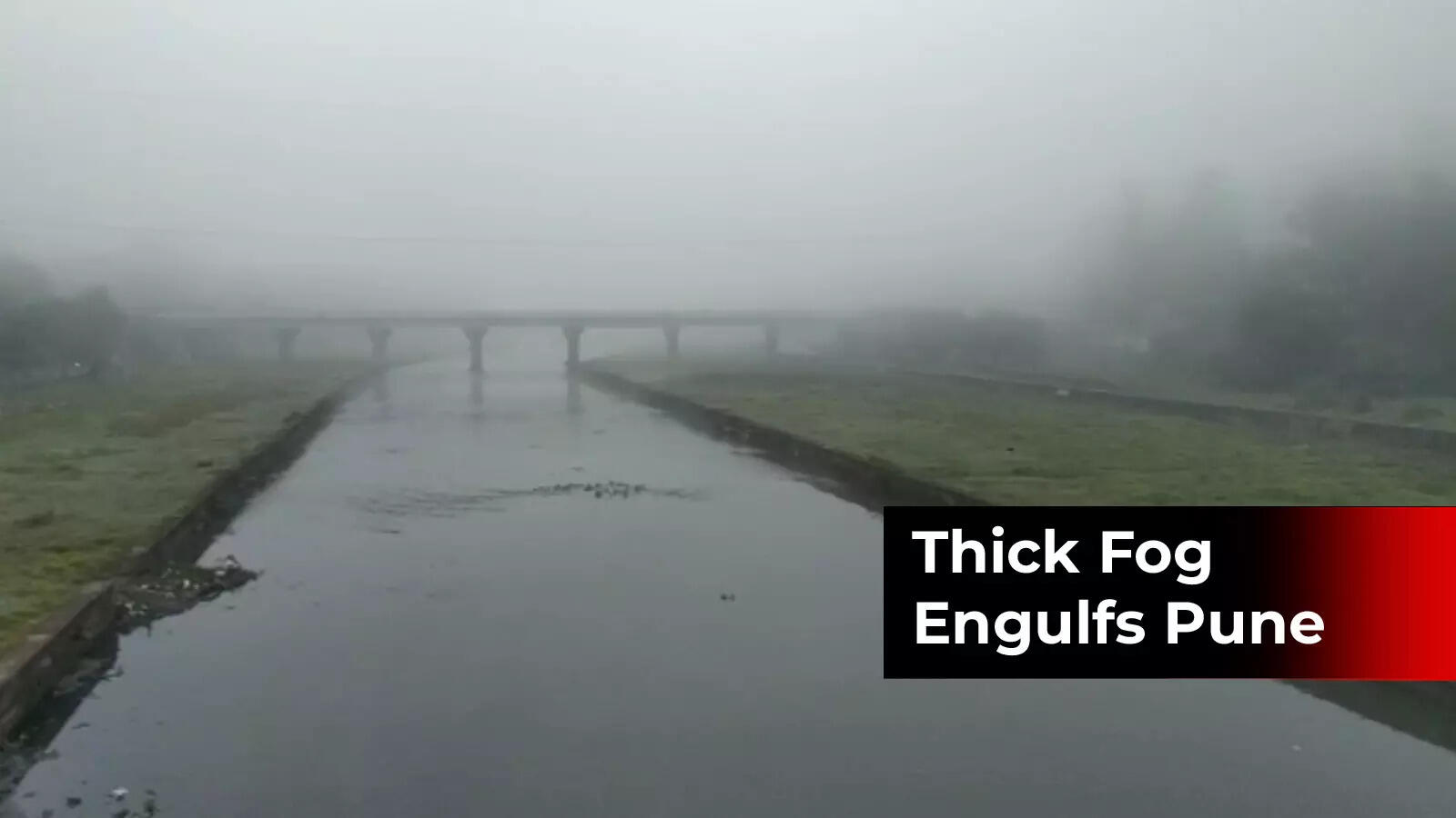 Fog brings down visibility level in Pune