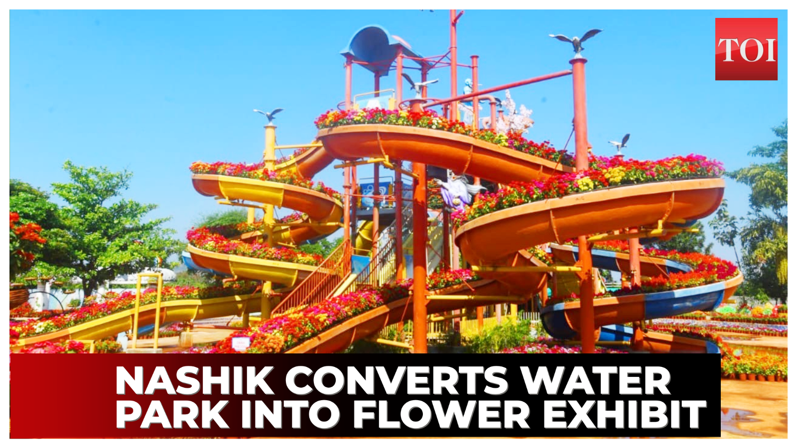 Natural twist: Nashik converts water park into a flower park