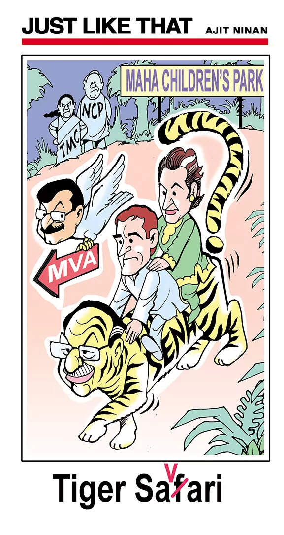 Tiger Savari