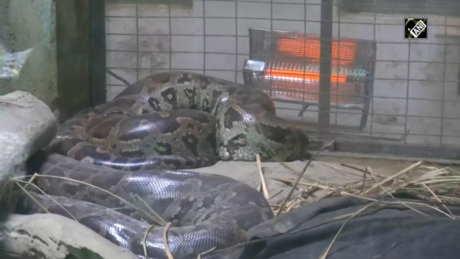 Heaters installed outside enclosures of animals in Lucknow Zoo