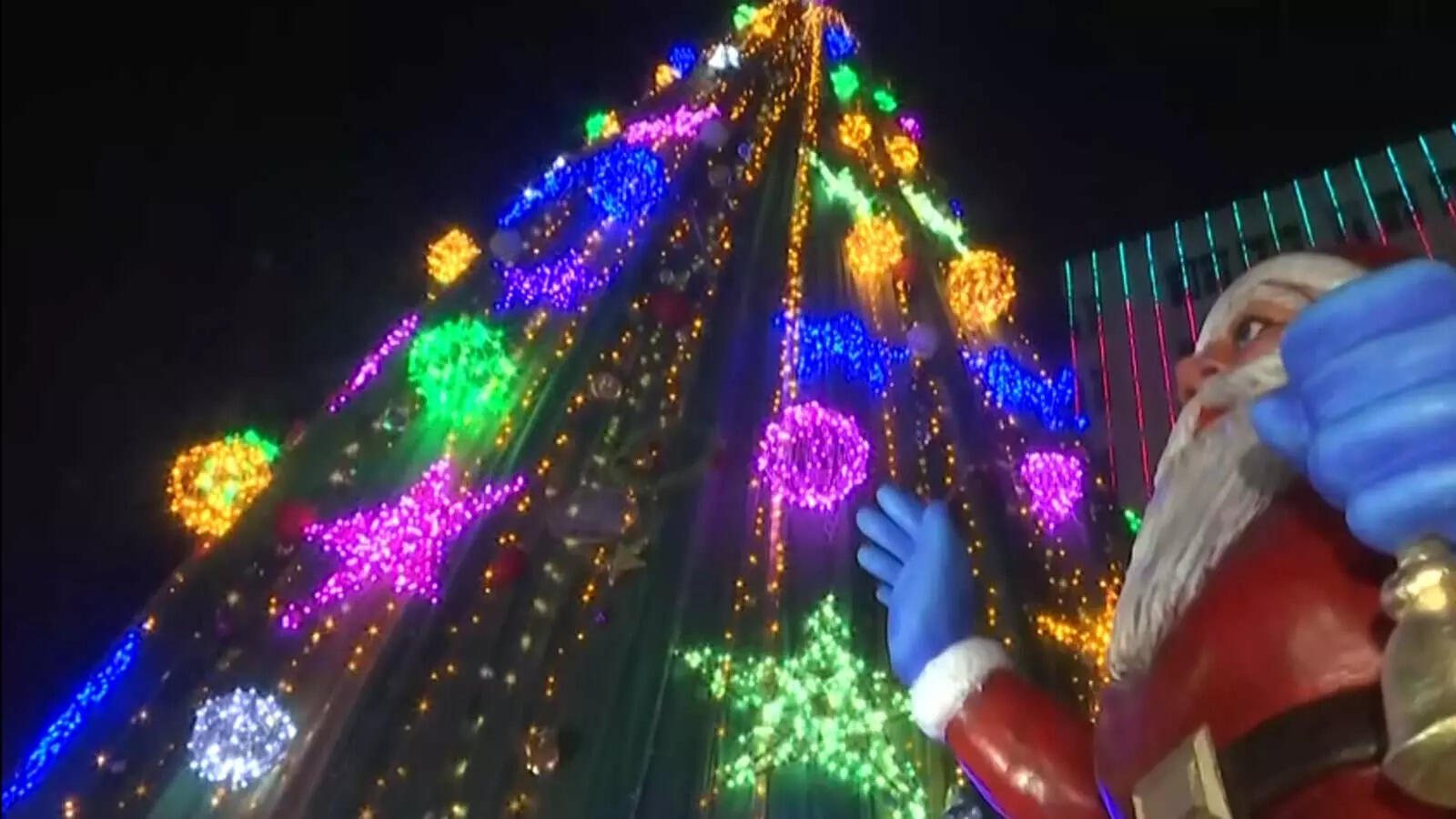 Watch: 50-feet-tall Christmas tree installed in Kolkata