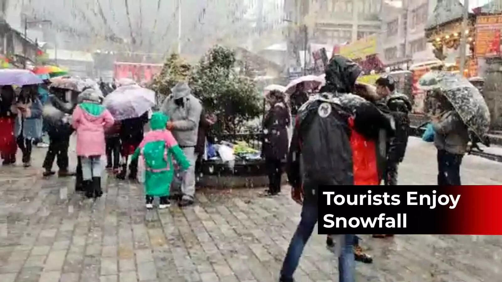 Watch: Tourists enjoy heavy snowfall in Manali