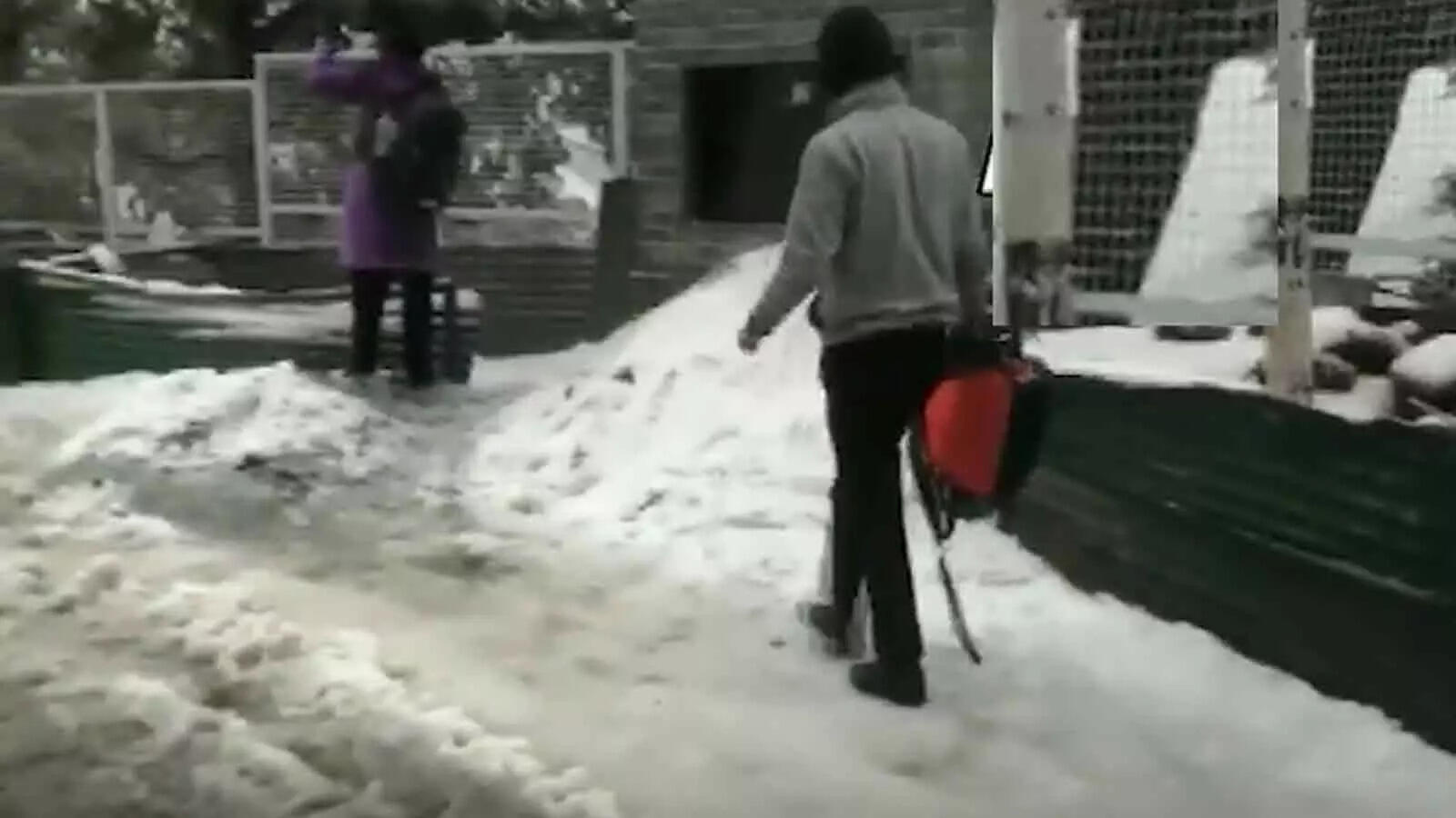 J&K: Cave shrine of Mata Vaishno Devi in Katra receives heavy snowfall