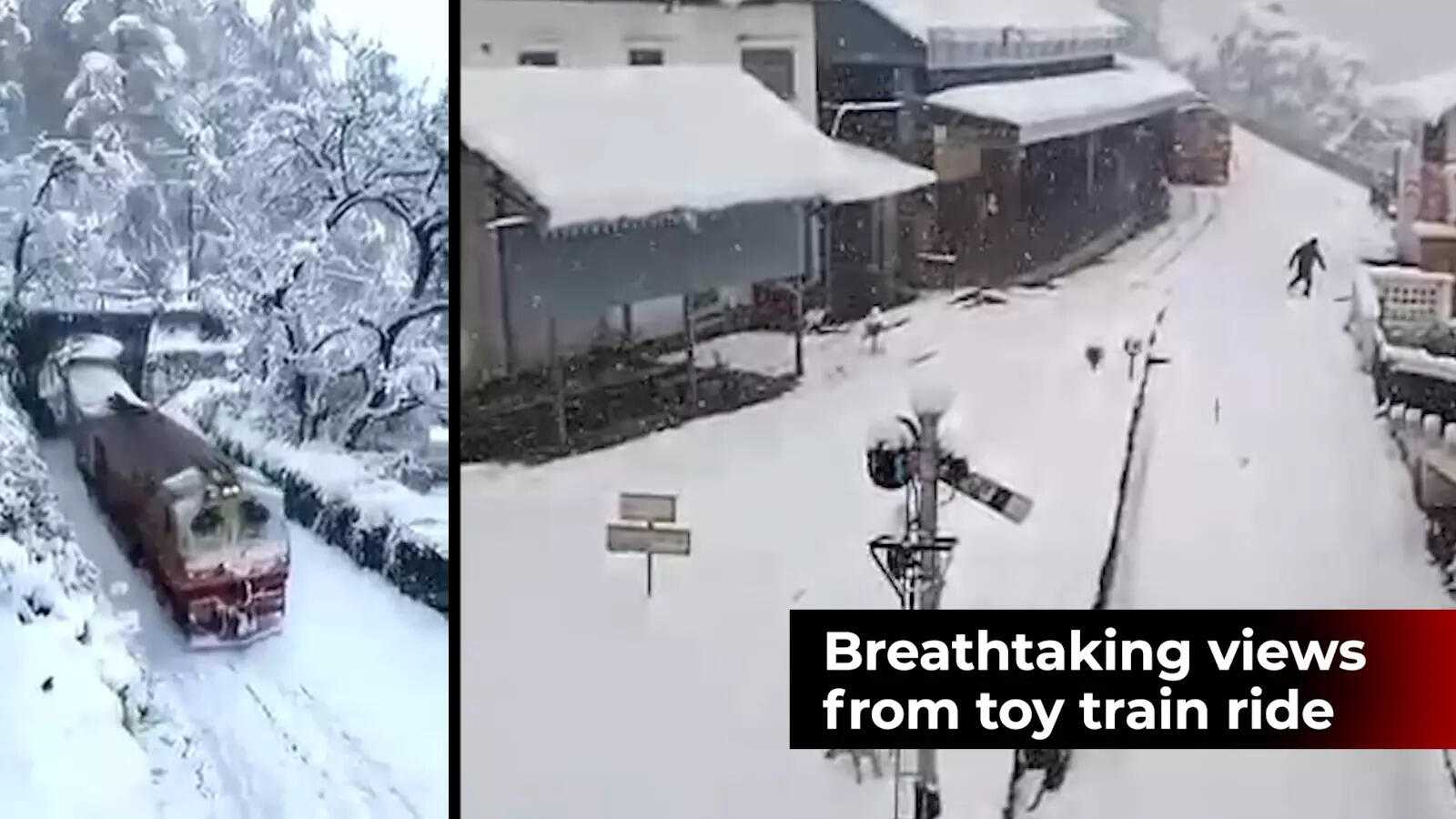 Watch: Shimla’s unique toy train ride amid snowfall