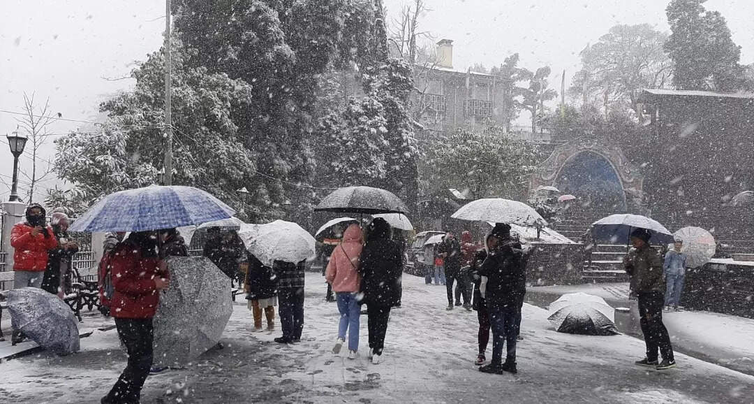 Photos: Tourists throng Darjeeling amid heavy snowfall