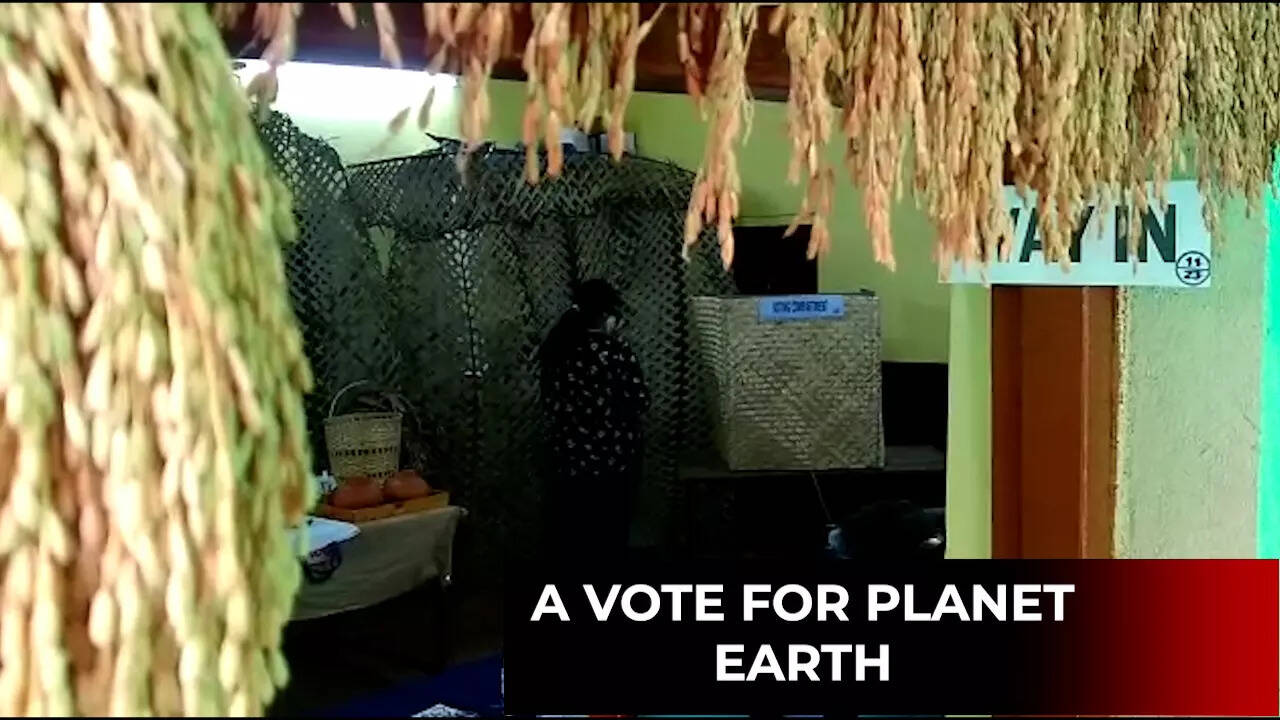Assembly elections 2022: Goa's green polling stations a blueprint for ...