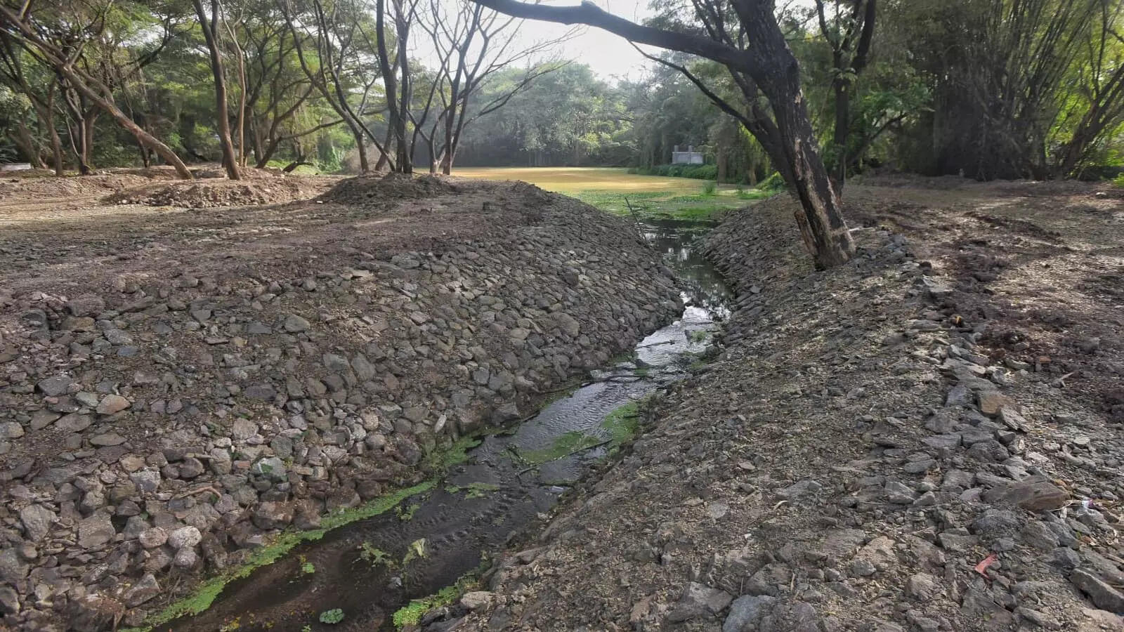 Pune: PCB rejuvenates British era natural water spring, plans ...