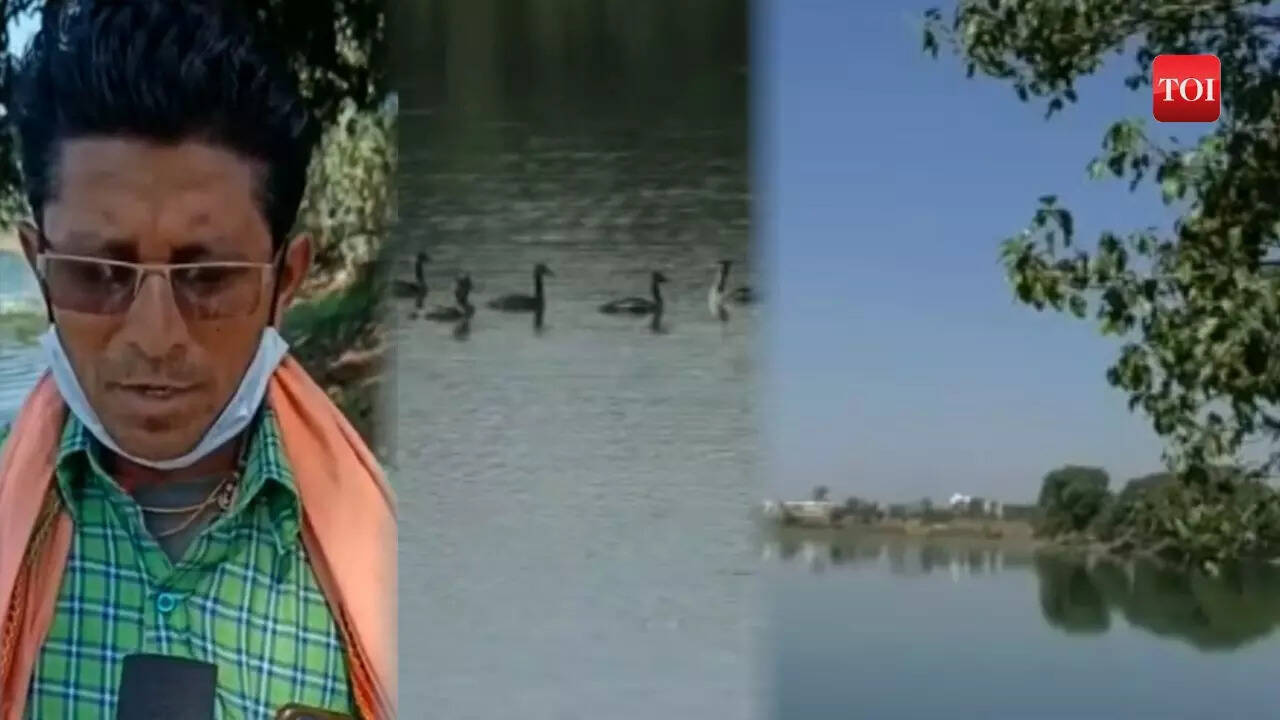 300 years old pond in Durg known for the love of married couple