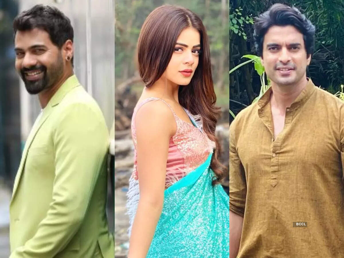 Shabir Ahluwalia, Jigyasa Singh, Gashmeer Mahajani and other TV actors ...