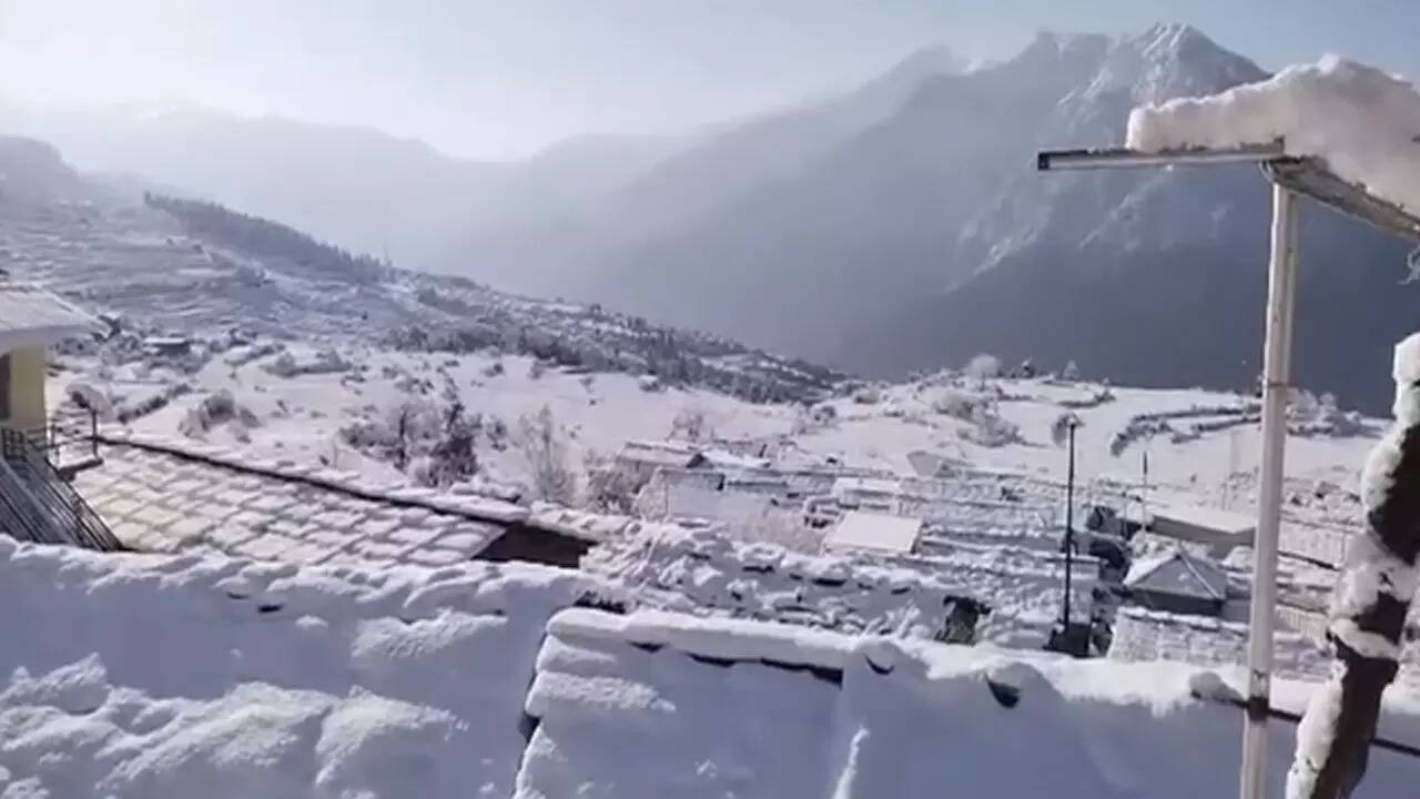 In pics: Heavy snowfall turns Uttarakhand's Chamoli picturesque white