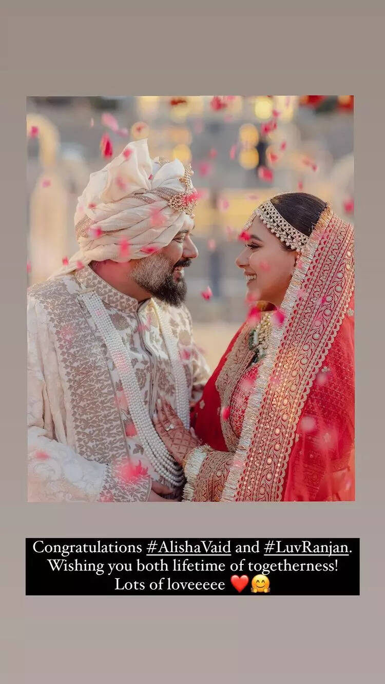 Luv Ranjan-Alisha Vaid wedding: Arjun Kapoor, Nushrratt Bharuccha ...