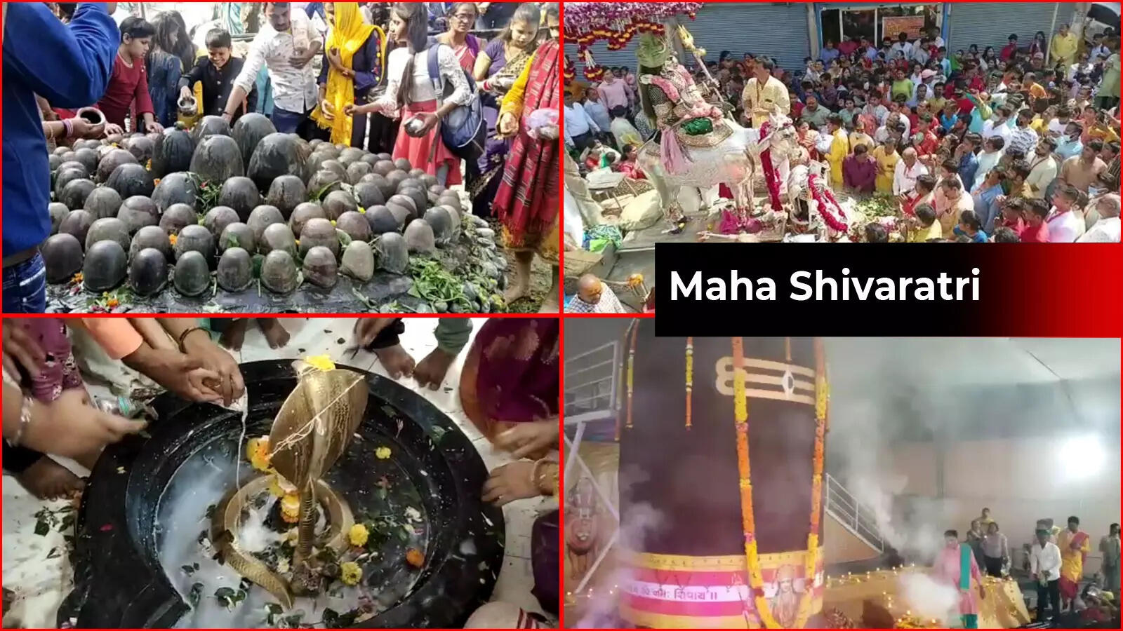 Devotees celebrate Maha Shivaratri across India with great fervour and zeal