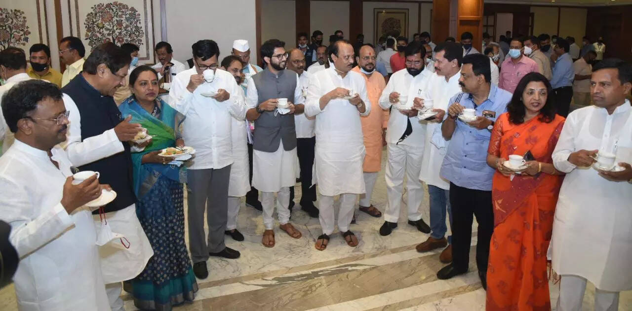 In pics: MVA hosts customary tea party ahead of budget session