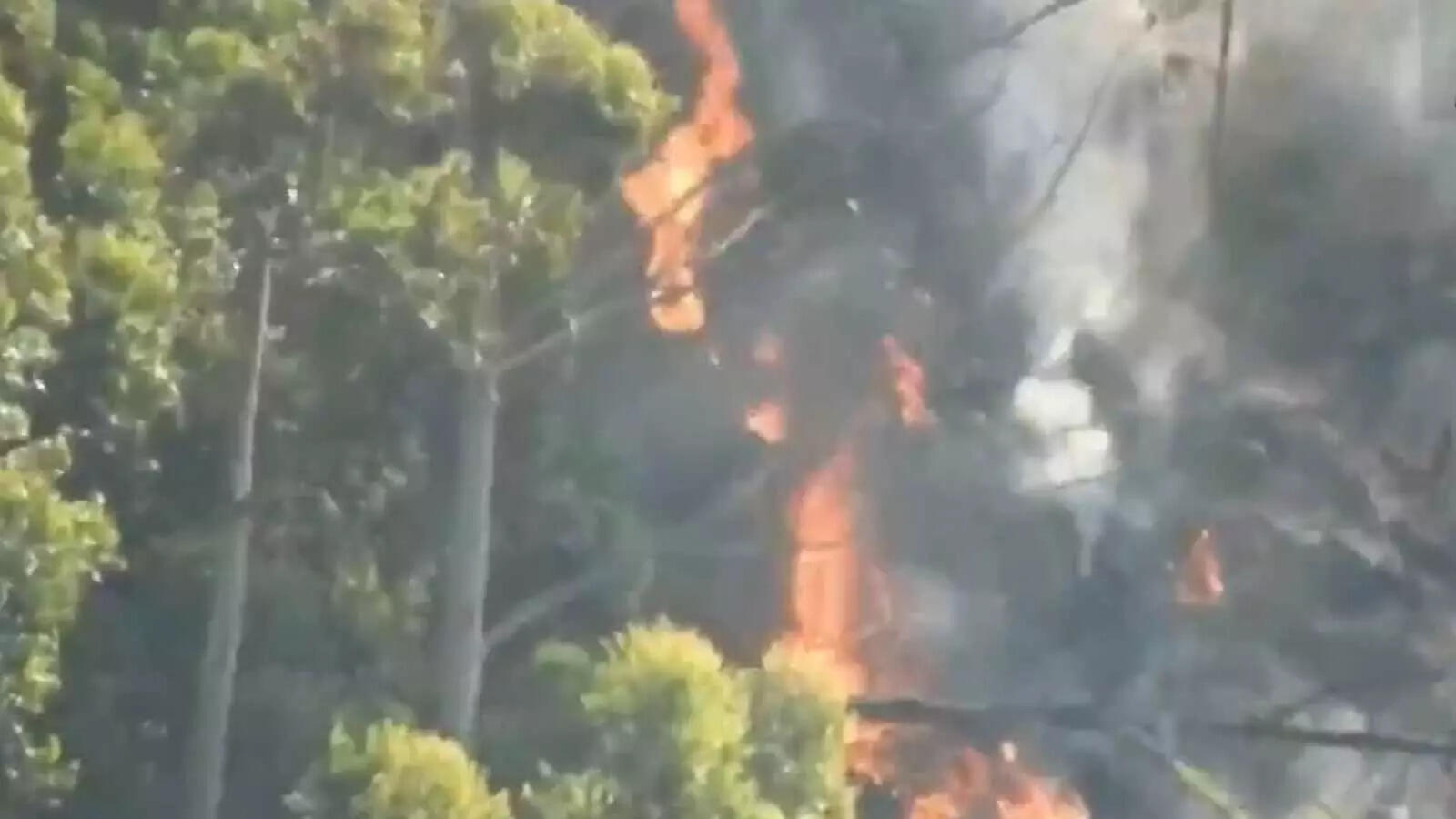 Tamil Nadu: Forest fire breaks out near Kodaikanal hills in Dindigul ...