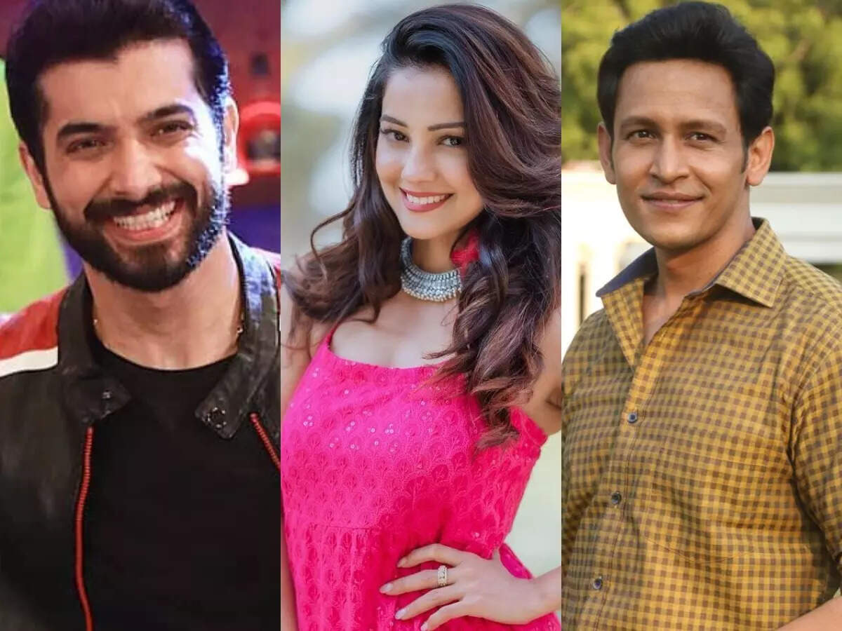 Marathi actor Anshuman Vichare's wife clarifies they haven't blessed ...