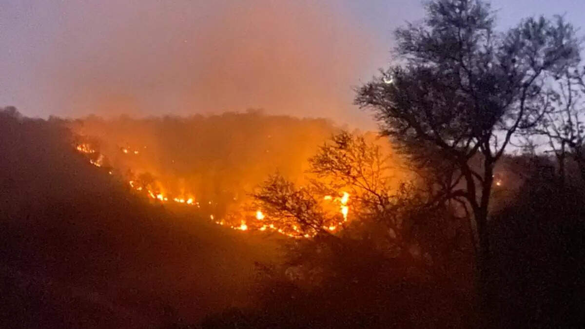 Photos: Another fire breaks out at Sariska Tiger Reserve