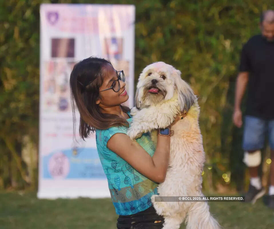'Howli' Hai: A full day of fun, food, colour and fur babies!- The ...