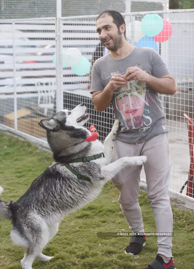 'Howli' Hai: A full day of fun, food, colour and fur babies!- The ...