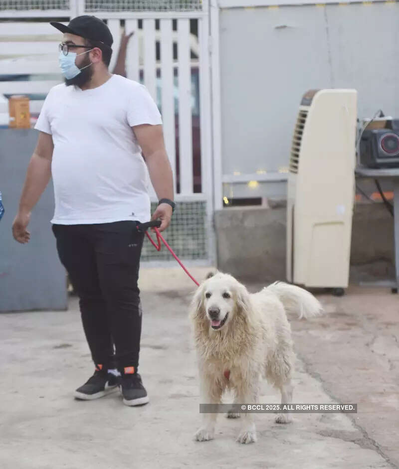 'Howli' Hai: A full day of fun, food, colour and fur babies!- The ...