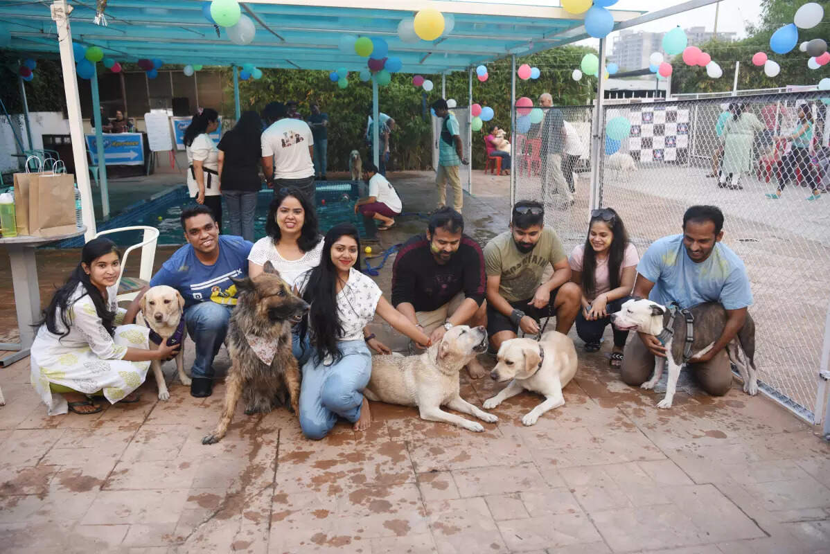 'Howli' Hai: A full day of fun, food, colour and fur babies!- The ...