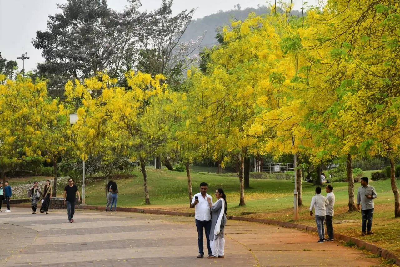In Pics: Mumbai is tree city of the world