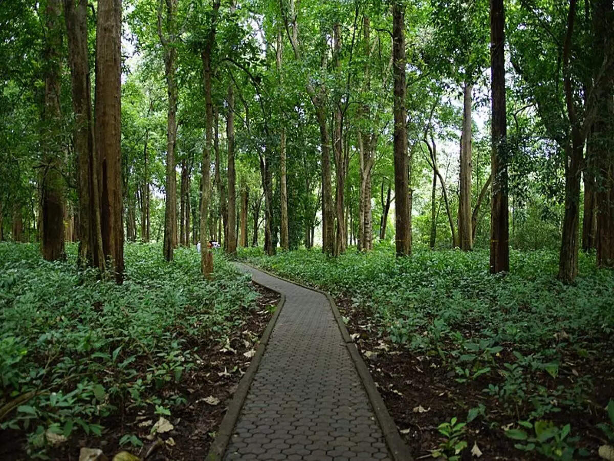 Development of 41 potential tourist spots in Maharashtra's Gadchiroli ...