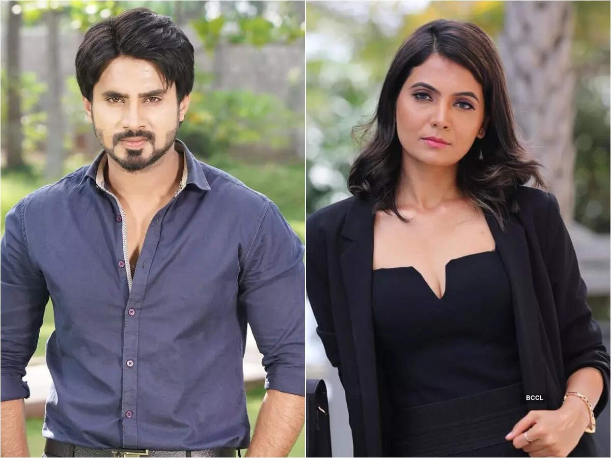 From Rakksh to Shwetha Prasad: A look at highly educated TV celebs