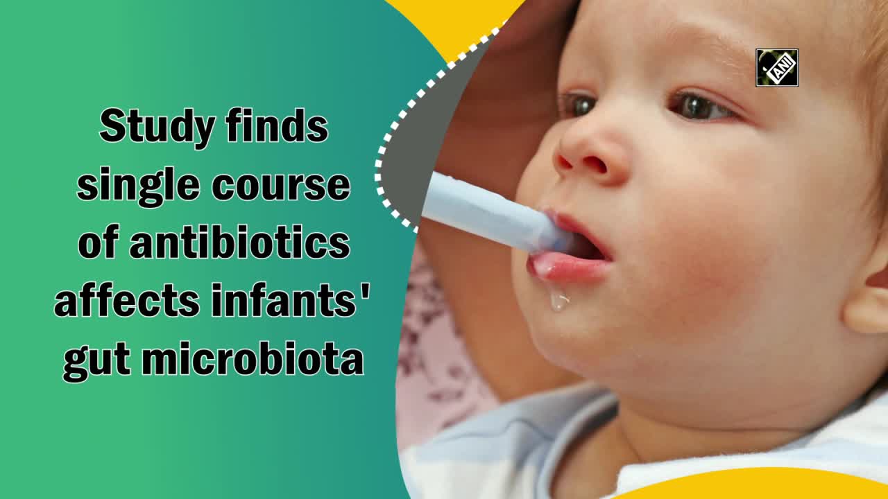 Study finds single course of antibiotics affects infants' gut microbiota