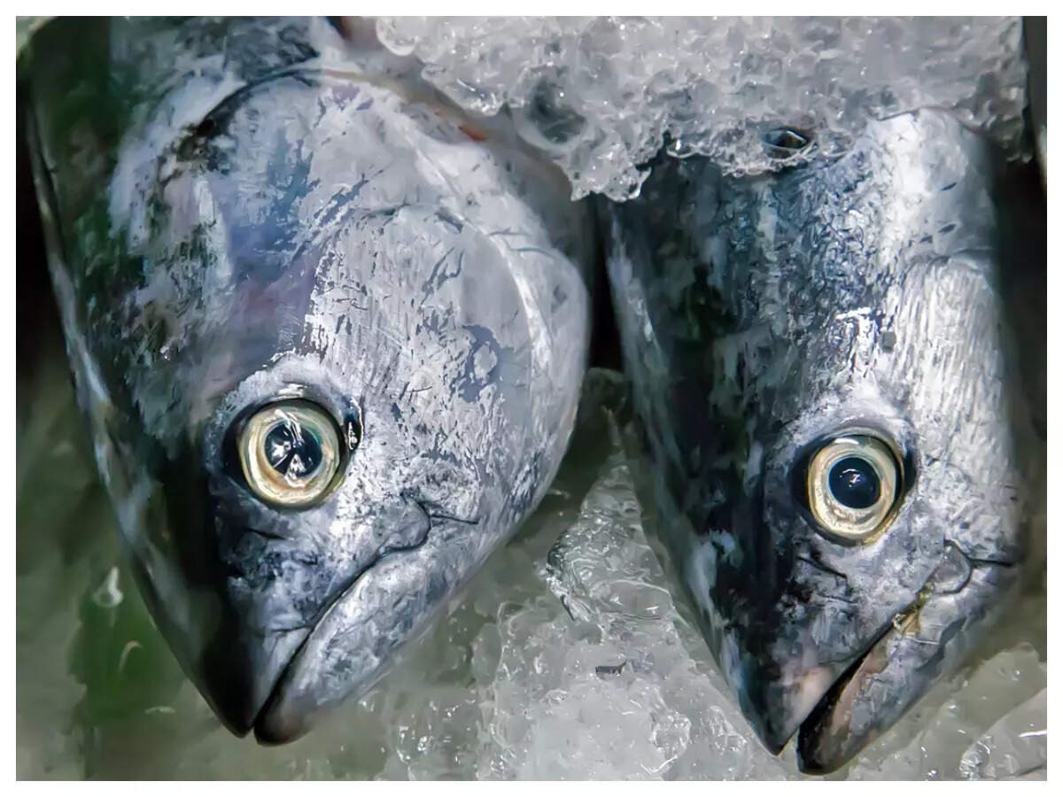 Tips and tricks to check the freshness of fish like a Bengali