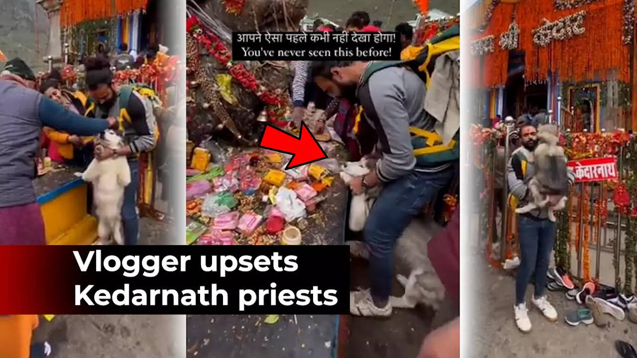 Video blogger takes dog to Kedarnath temple; upset priests may take action