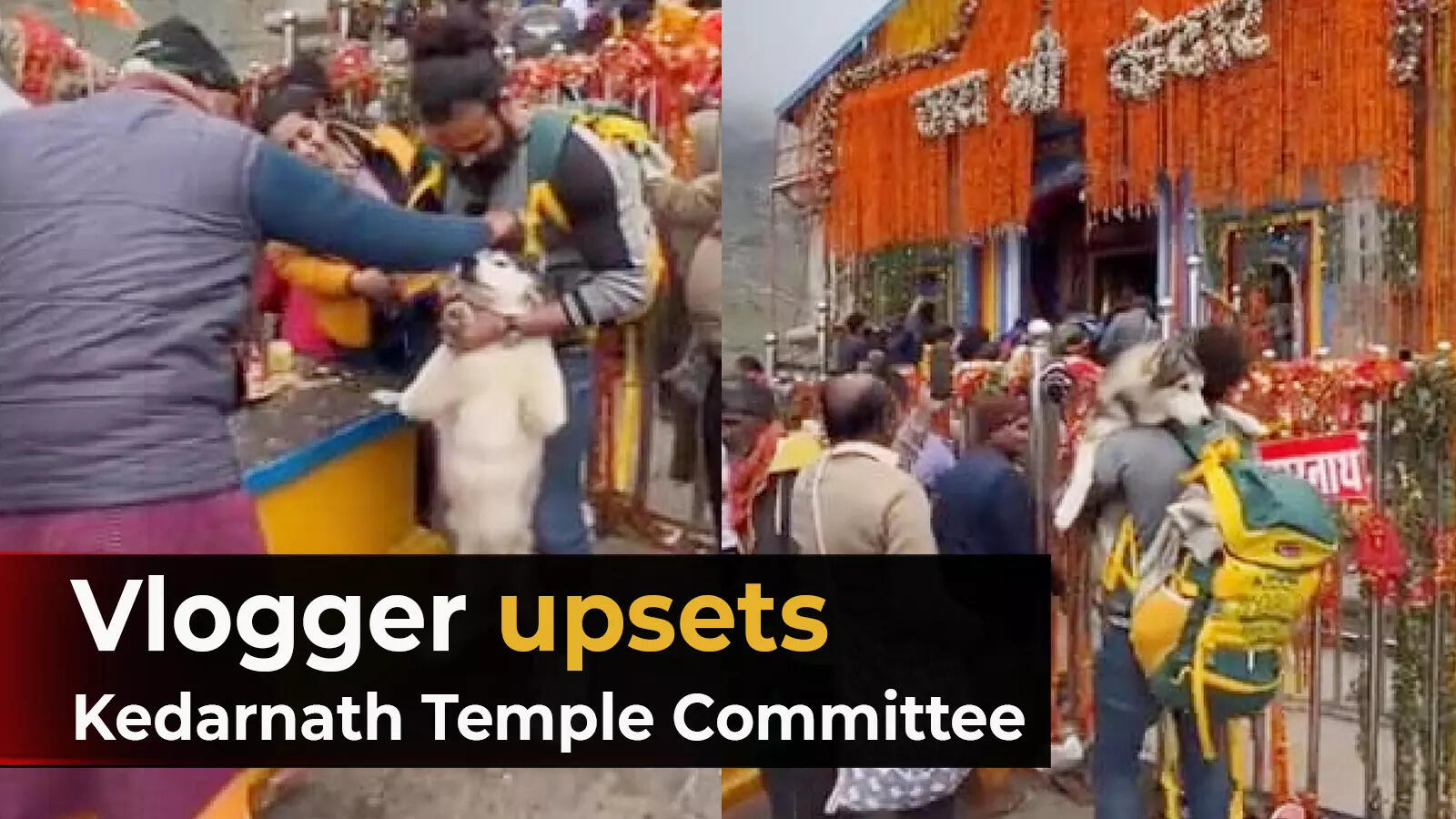 Noida vlogger takes pet dog to Kedarnath shrine, temple committee files ...