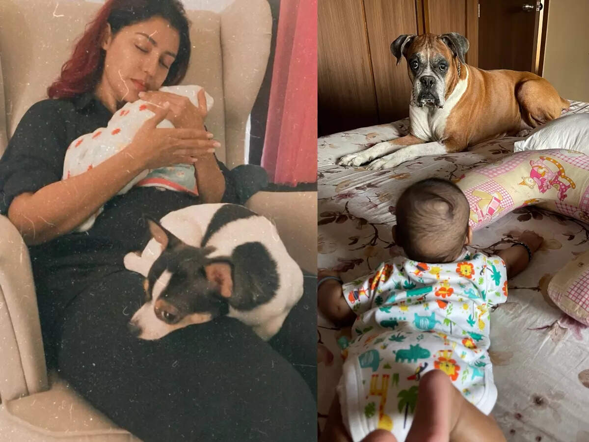 Moms on raising their kids and pets together - Times of India