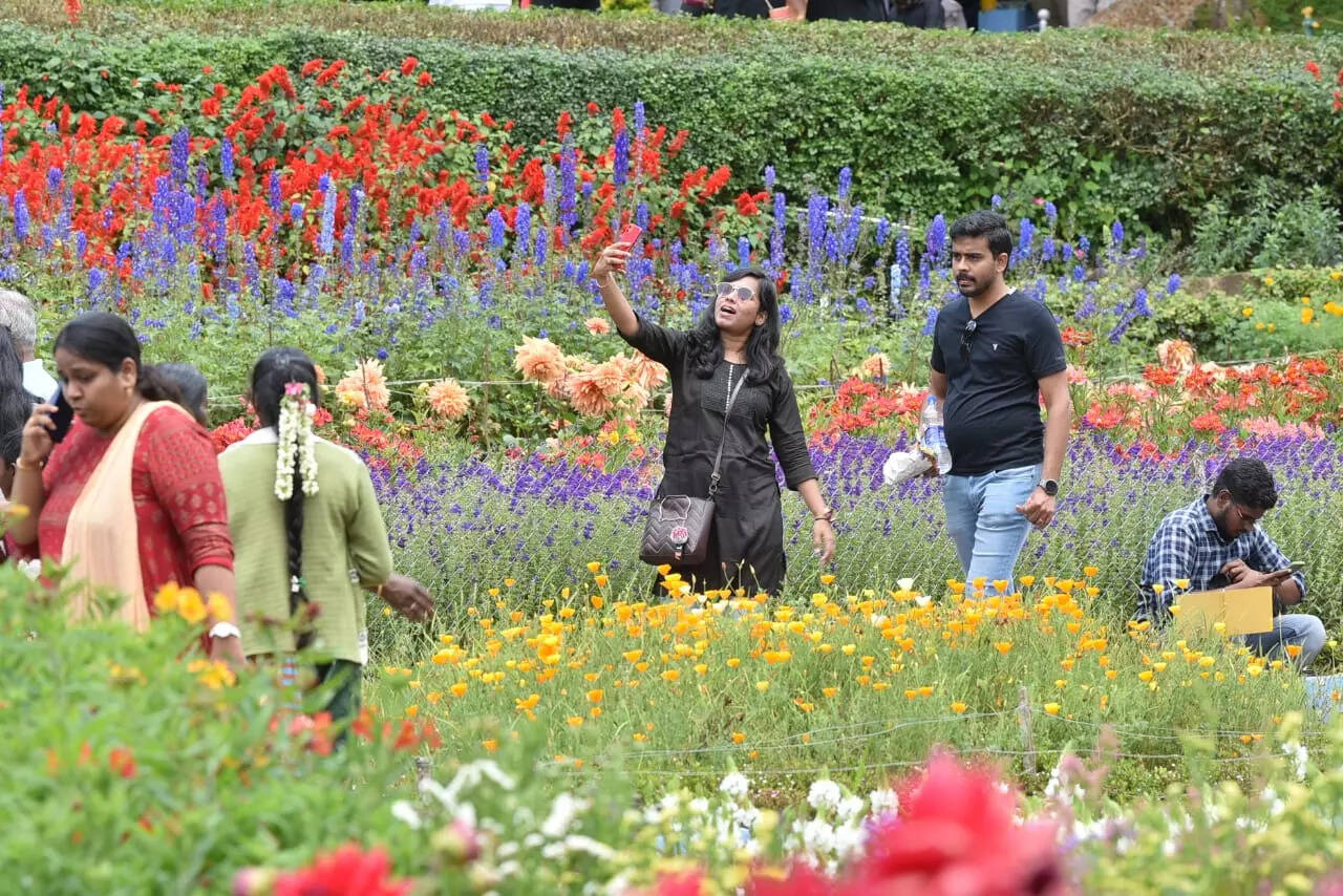 Photos: 59th flower show commences in Tamil Nadu's Kodaikanal