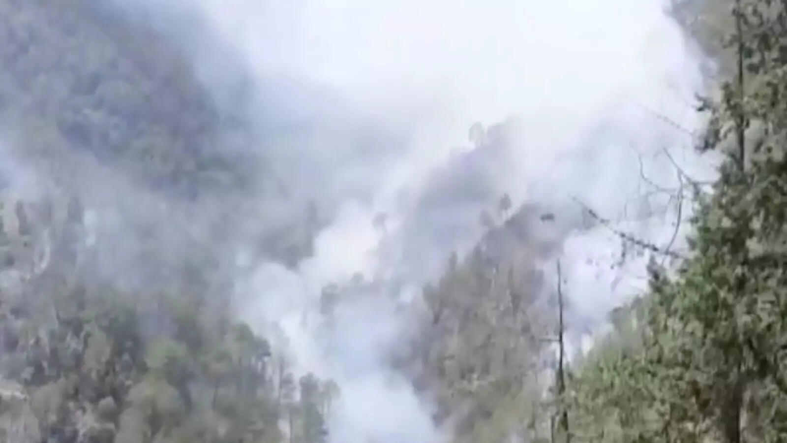 Fire in Paoba forest area of Shimla