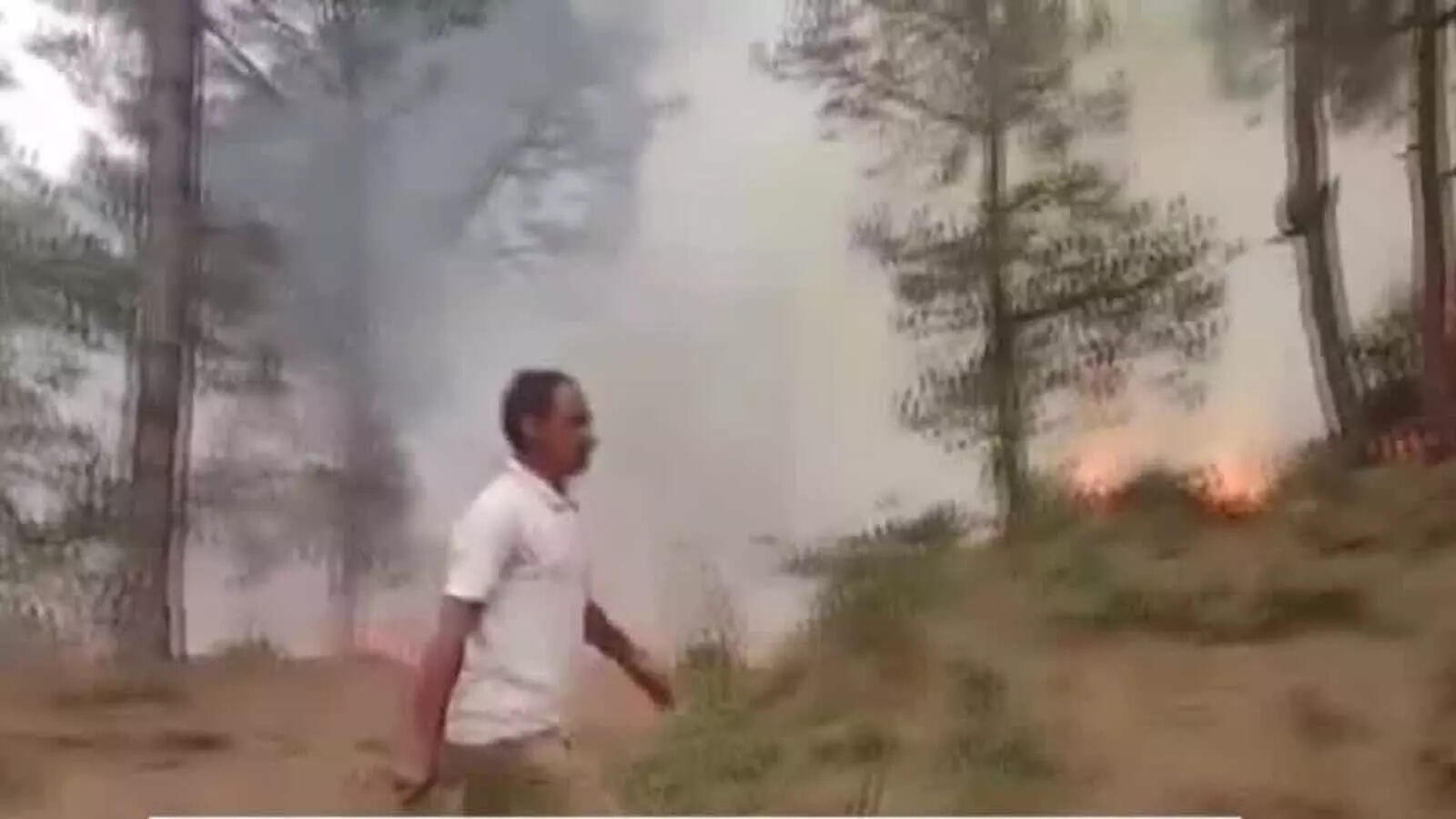 J&K: Forest fire breaks out along LoC in Dharmsal area in Poonch