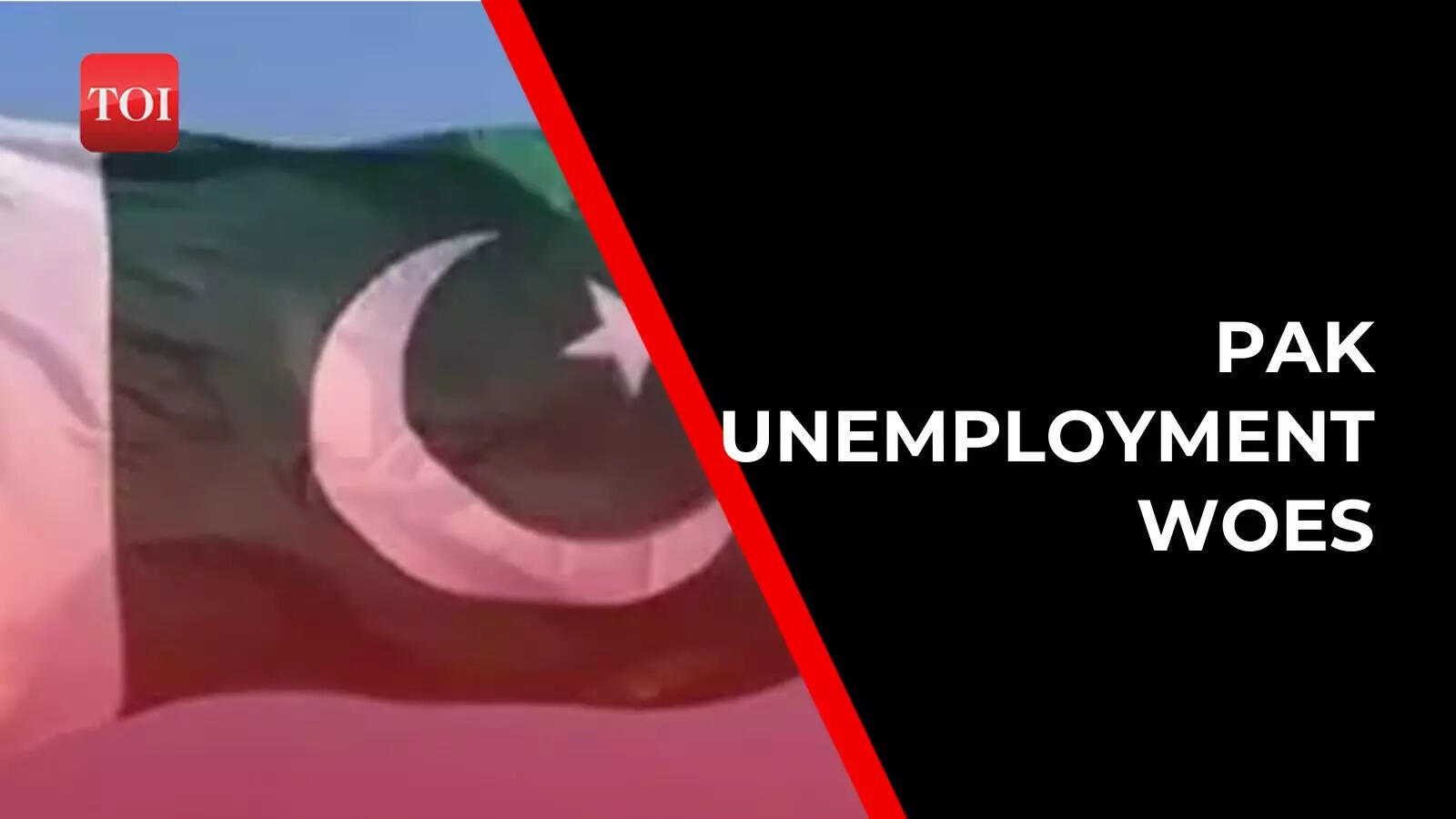 Pakistan's unemployment woes: 27.6 pc rise in people seeking jobs overseas